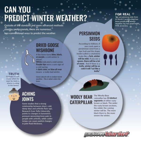 Decoding Winter: Persimmon Seed Weather Predictions Explained