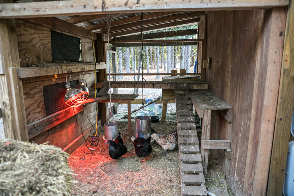 Efficient Heated Barn Solutions: Keep Animals Safe This Winter